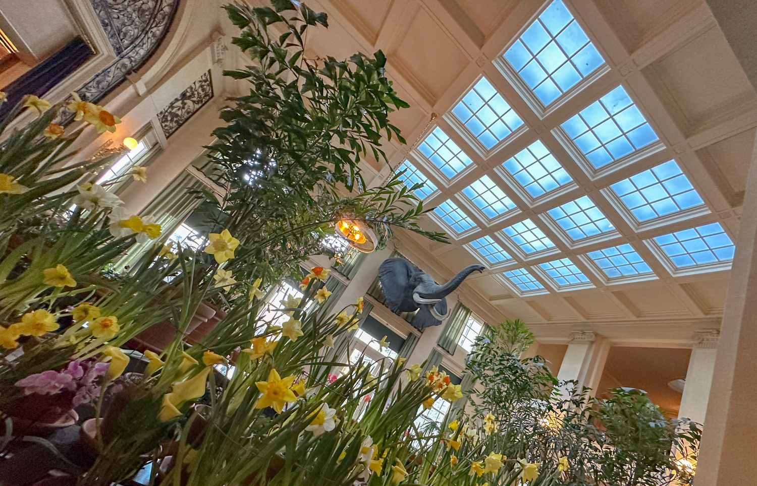 The Dutch Connection Flower Show - Naturally Green FLX